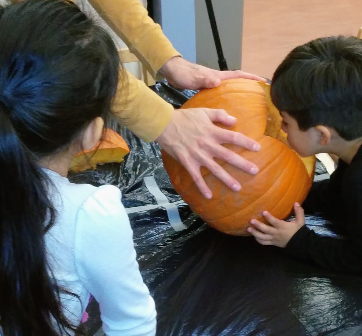 Exploring a Pumpkin! | Town Square