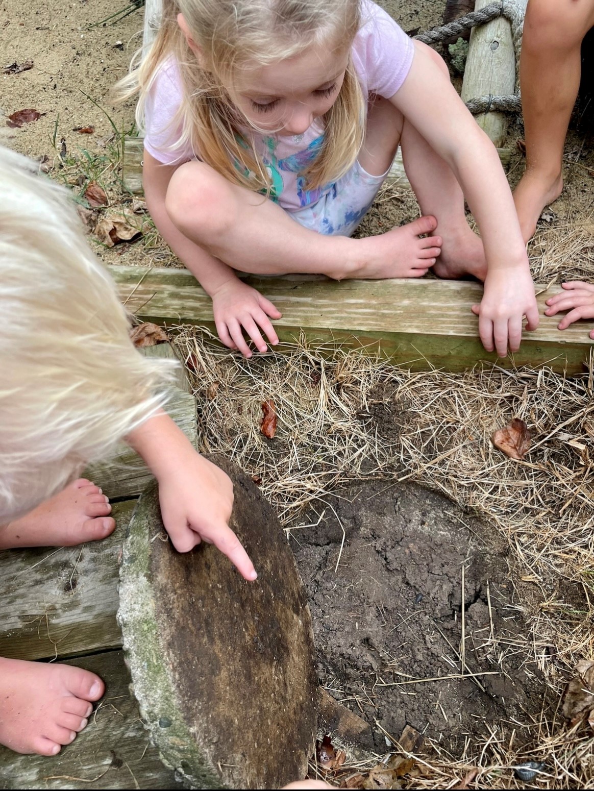 Provider Blog — Worm Exploration | Town Square