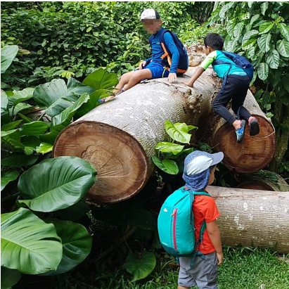 Philosophy Spotlight: Forest Schools & Nature-Based Programs | Town Square